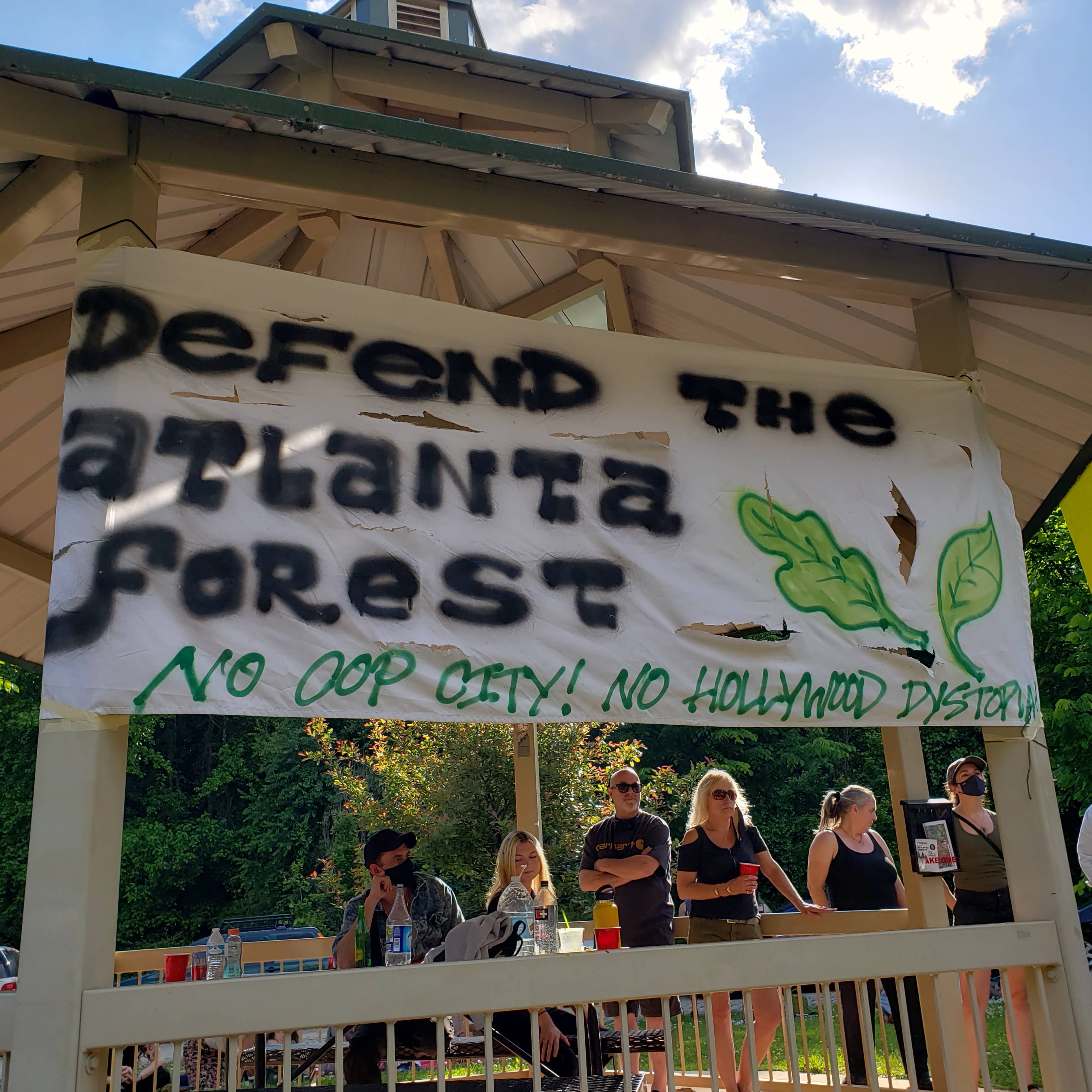Save Southeast Atlanta Forests From Developers – Streets of Atlanta